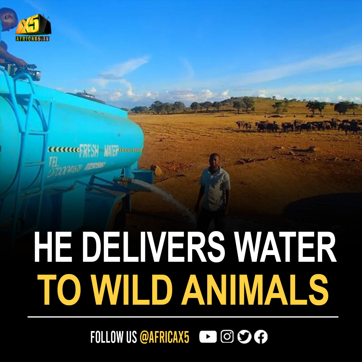 Kenyan Man Drives 100s of Kilometres to Deliver Water to Animals in Dr ...